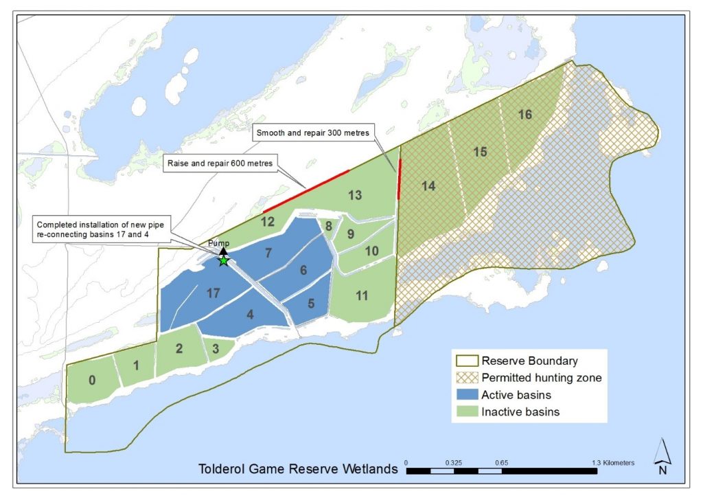 Expanding Migratory Shorebird Habitat - CWRT