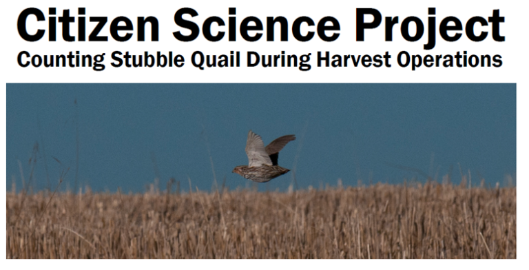 Supporting citizen science: Stubble Quail Survey - CWRT
